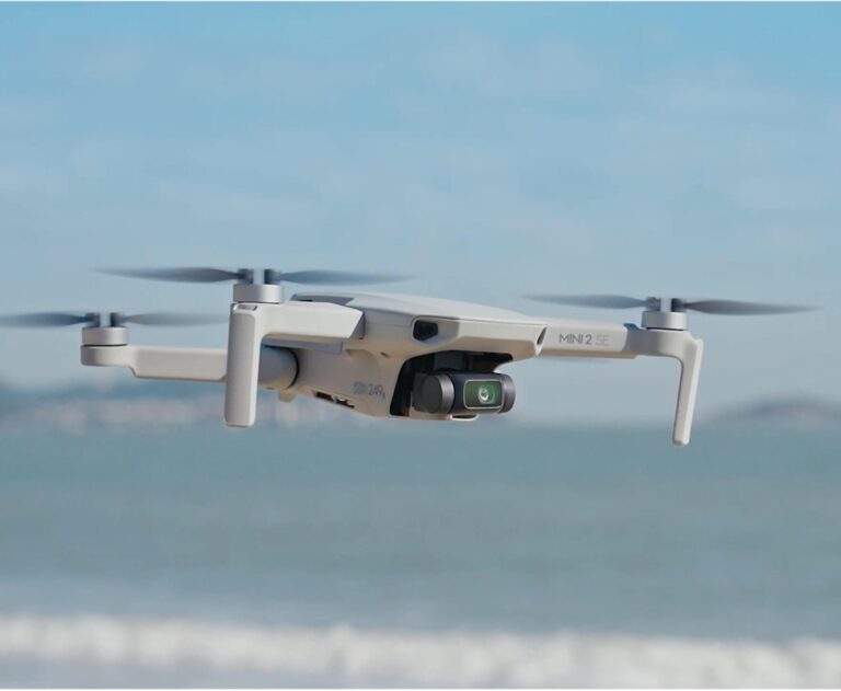 DJI Mini: The Ultimate Guide to the World's Smallest and Lightest Drone ...